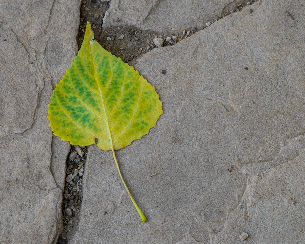 First 100 Days of Retirement Photo Blog